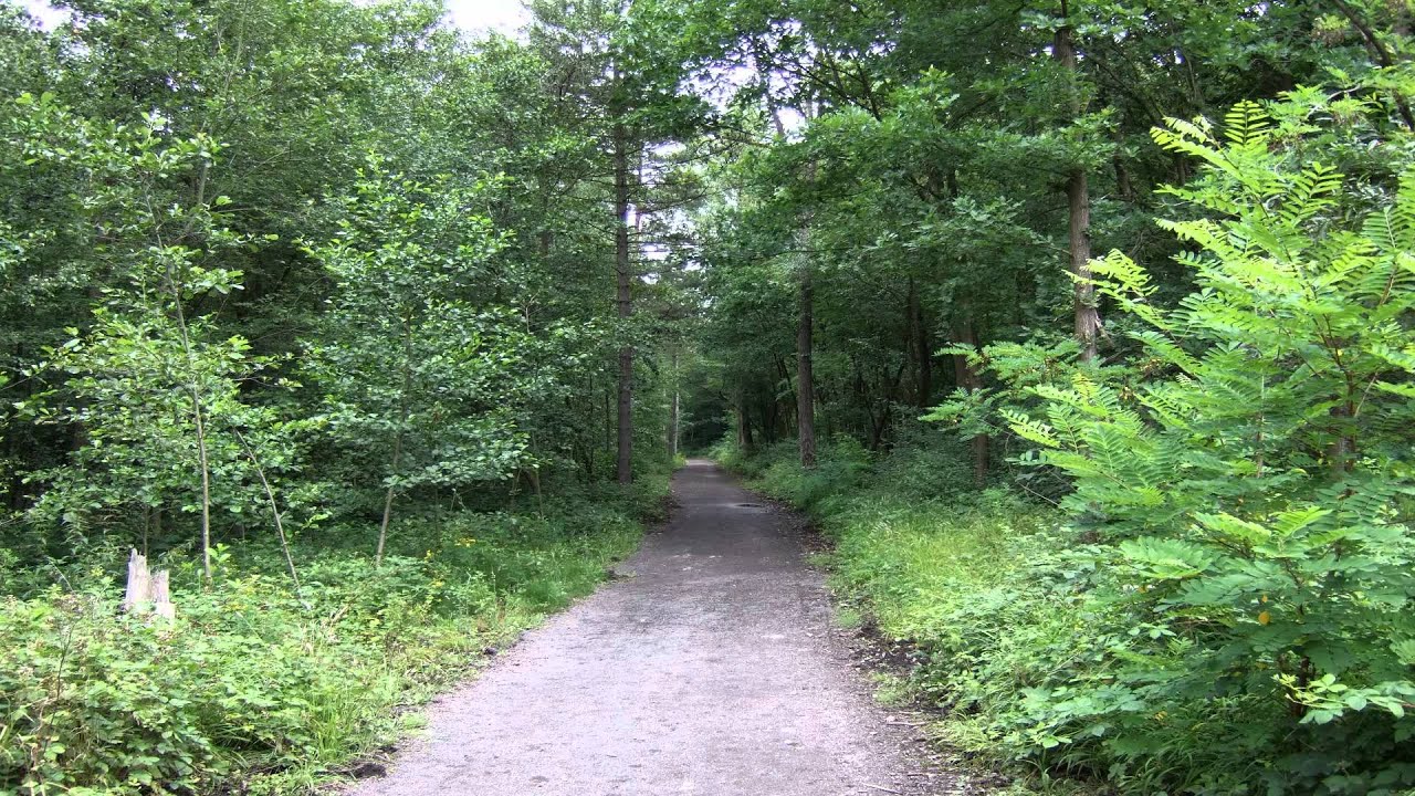 Heider Bergsee / Brühl - YouTube