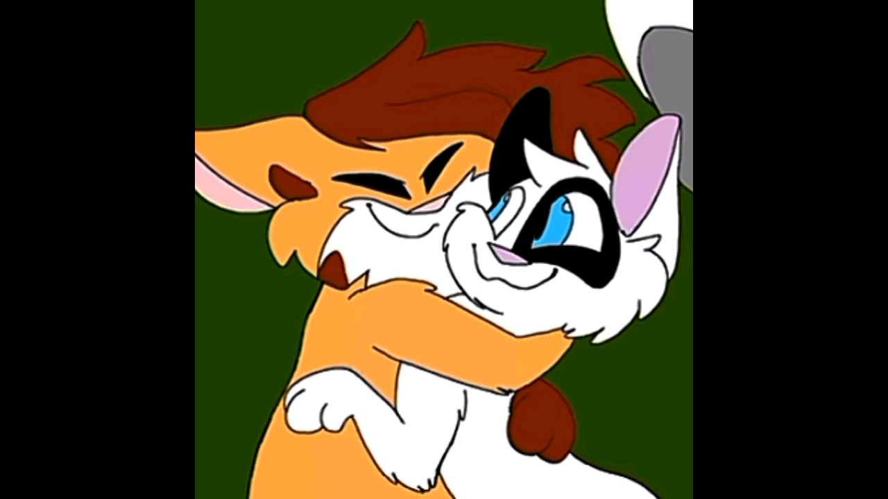 Grace y pip #edit #meme #xd #catsanimation #avag #capcut #humor #shorts ...