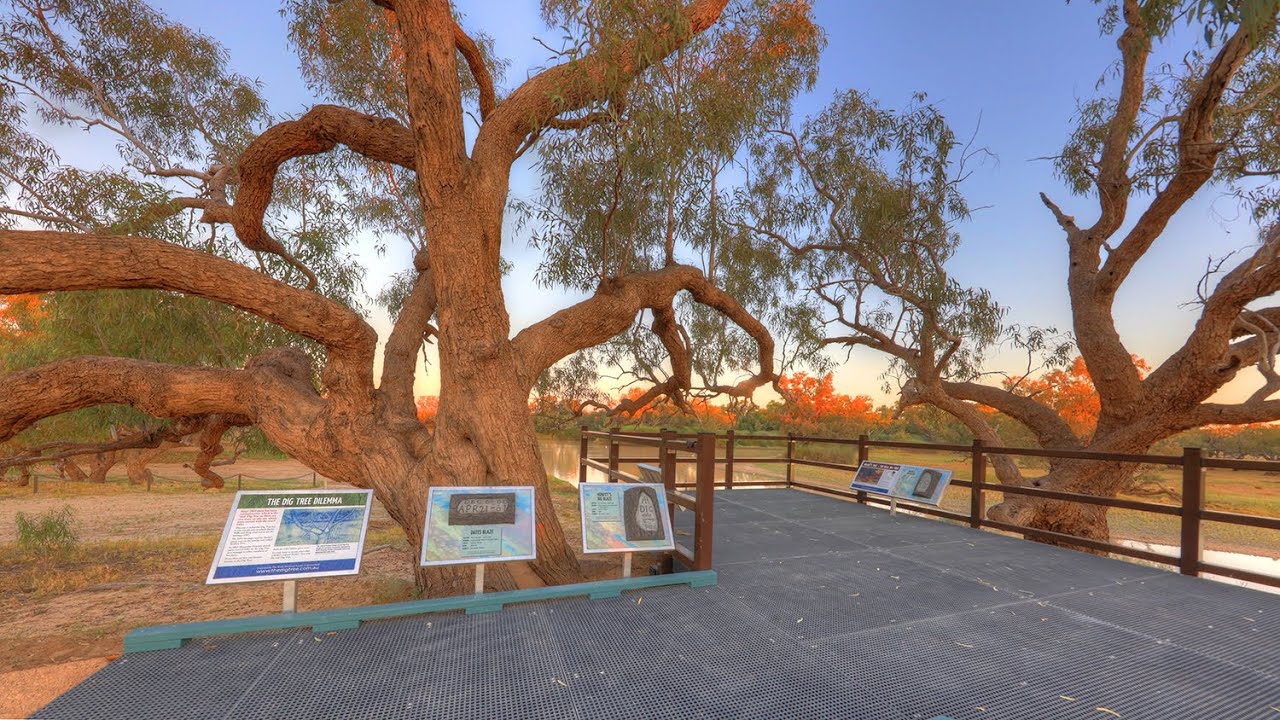 Dig Tree presented by Peter Bellingham Photography - YouTube