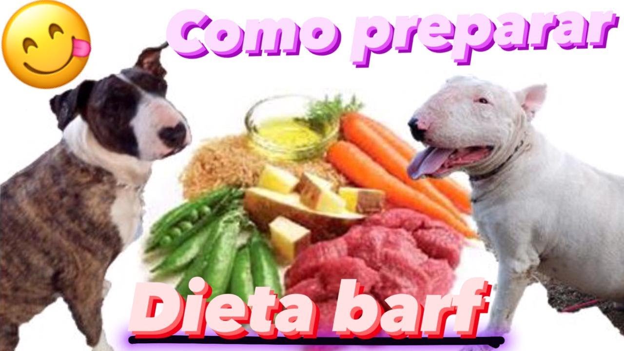 COMO PREPARAR COMIDA BARF🍗🥦 PARA TU PERRO/ DIETA BARF 100% EFECTIVA Y ...