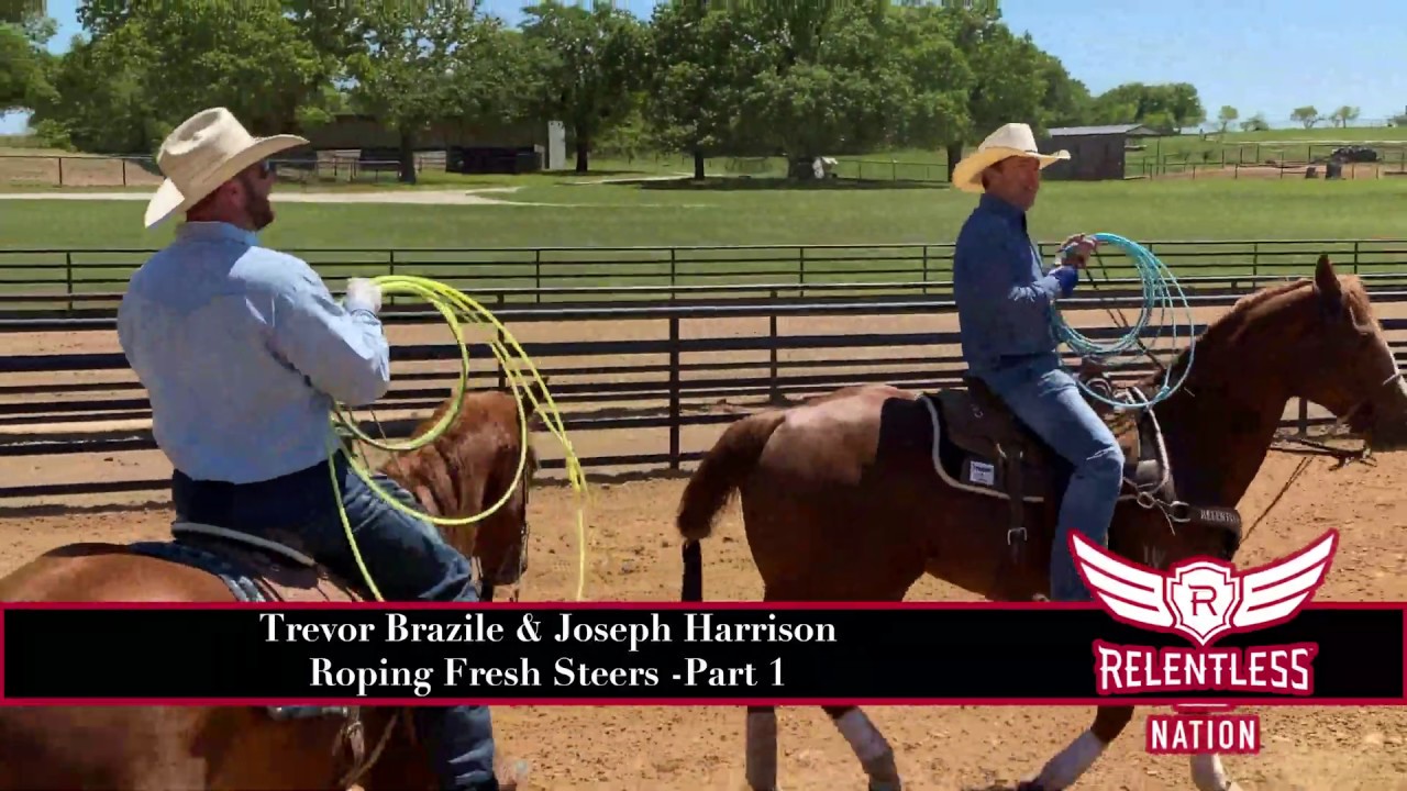 Trevor Brazile and Joseph Harrison Roping Fresh Cattle - Part 1 - YouTube