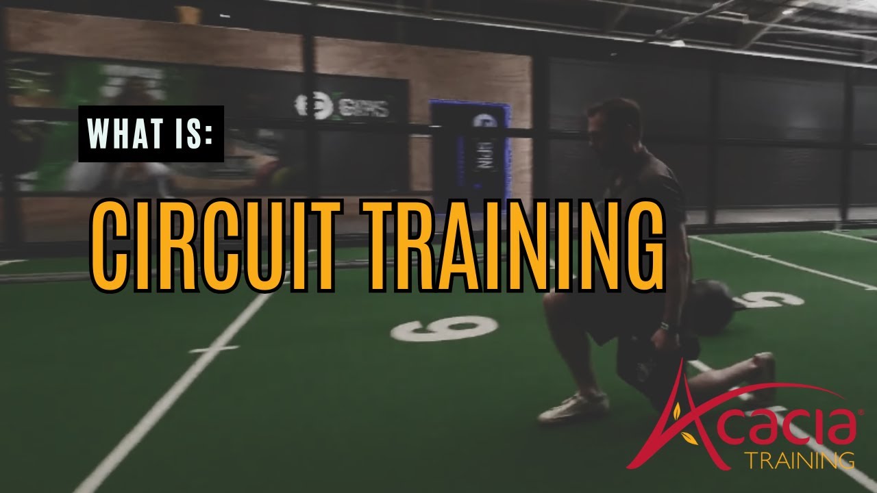 How to Do Circuit Training for Total Body Fitness | Full Body Workout ...