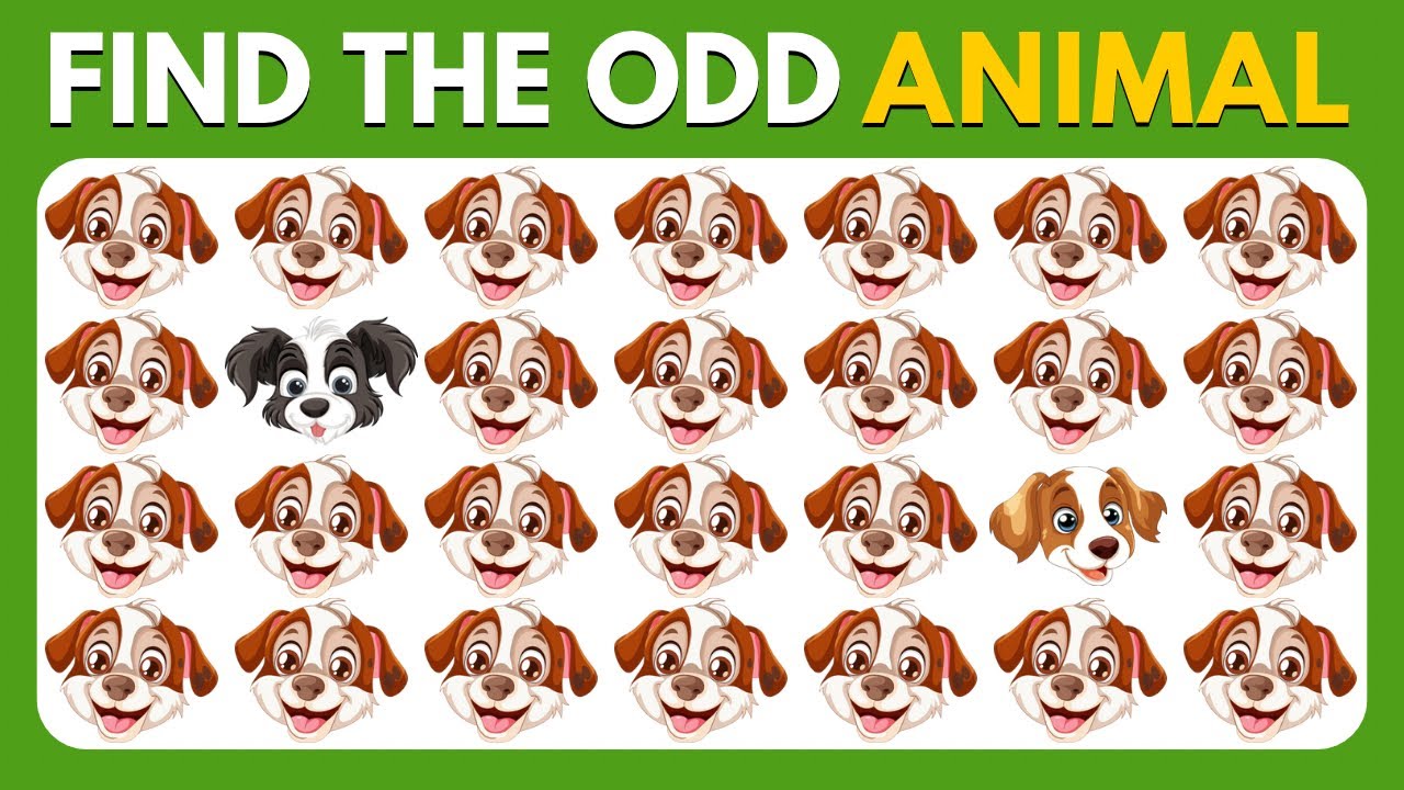 Find the ODD One Out - Animal Edition 🐶😺🐼 | Easy, Medium, Hard Levels ...