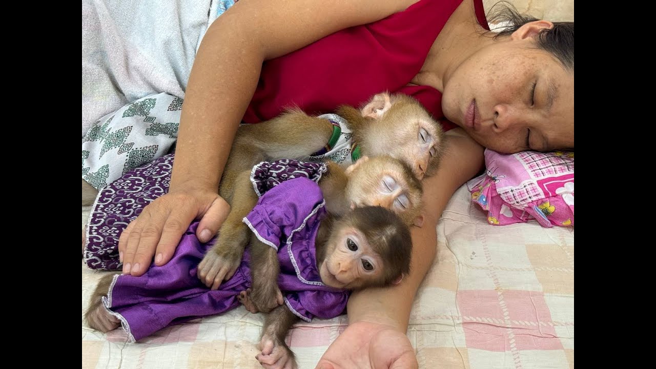 Mom Accompany 3 Siblings To Sleep With Warm Hug & Comfort Till Falling ...