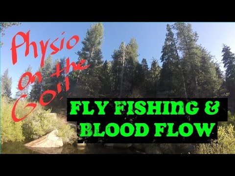 Fly Fishing & Blood Flow - YouTube