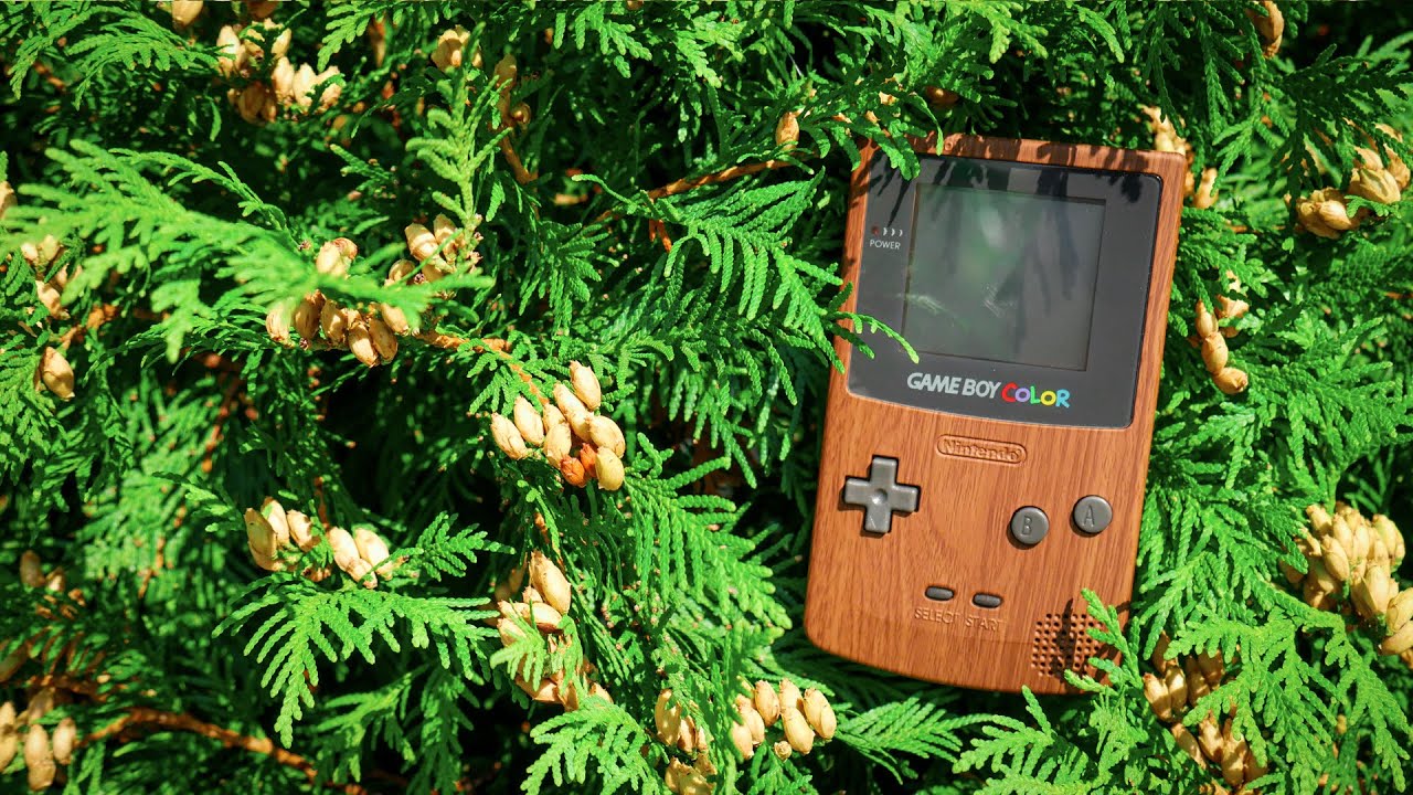 What!? A wood grain Gameboy Color? Who WOOD like one of those? I would ...