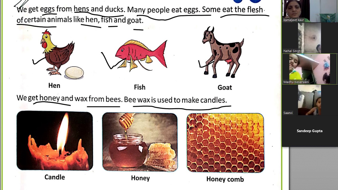 Science Class 2 Chap 3 Part 1 - YouTube