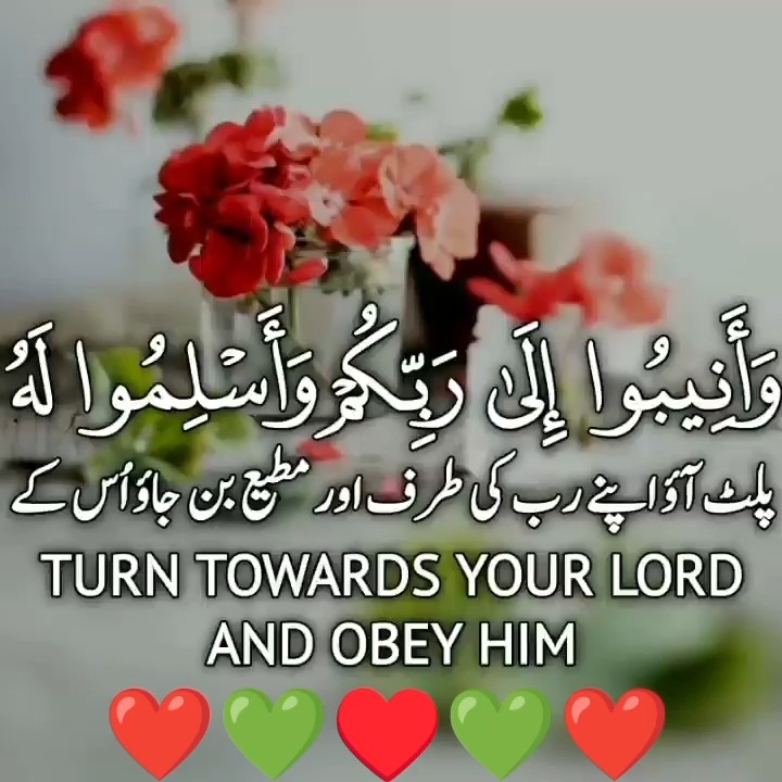 #Quran ki ayat# short video ☺️ - YouTube