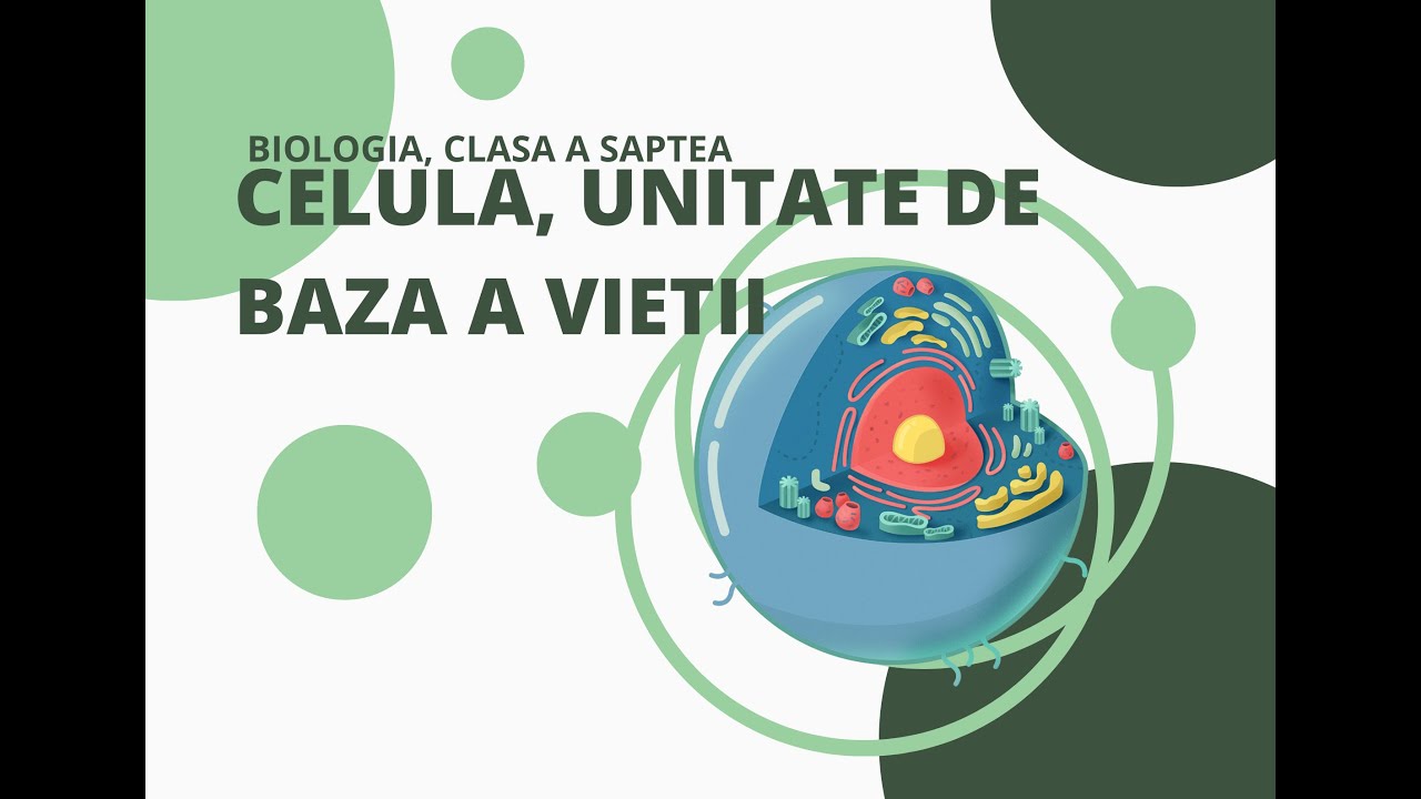 celula, unitatea de baza a vietii. proiect digital - YouTube