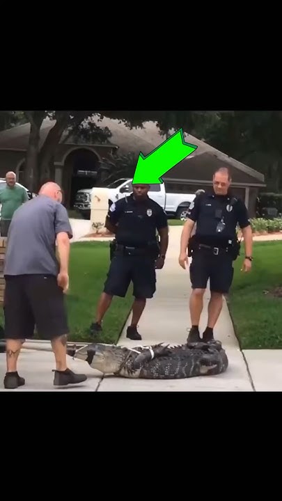 Police KNOCKED out by Alligator 😱🤯| You Wont Belive What Happens Next # ...