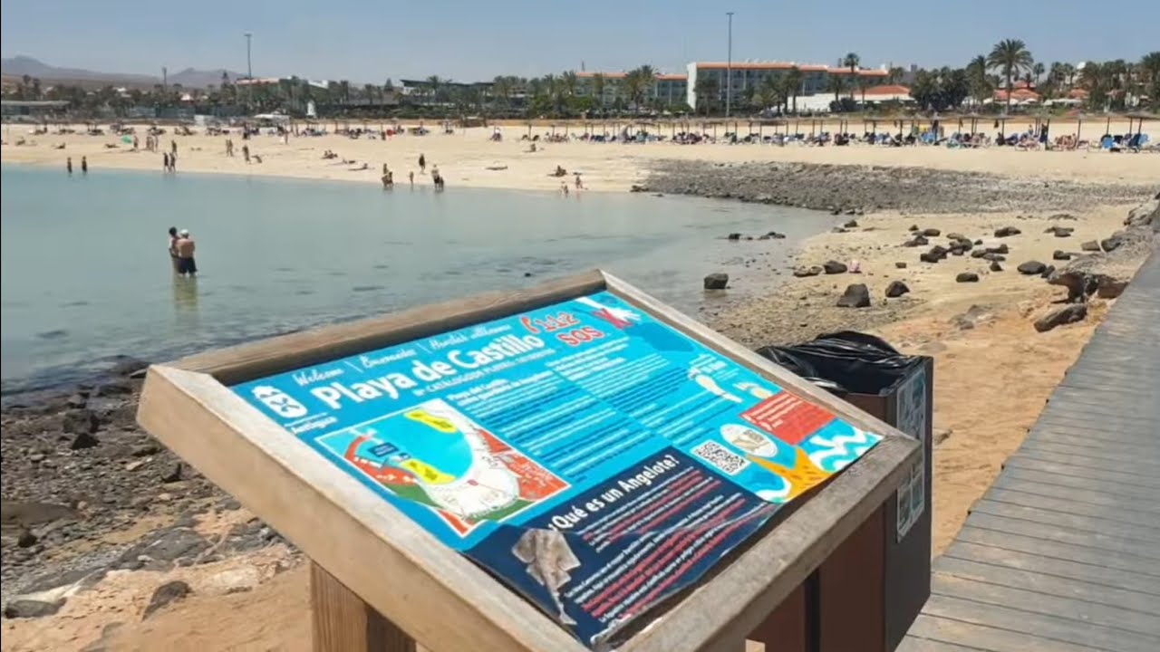 Fuerteventura Caleta de Fuste Playa de Castillo to Castillo harbour ...