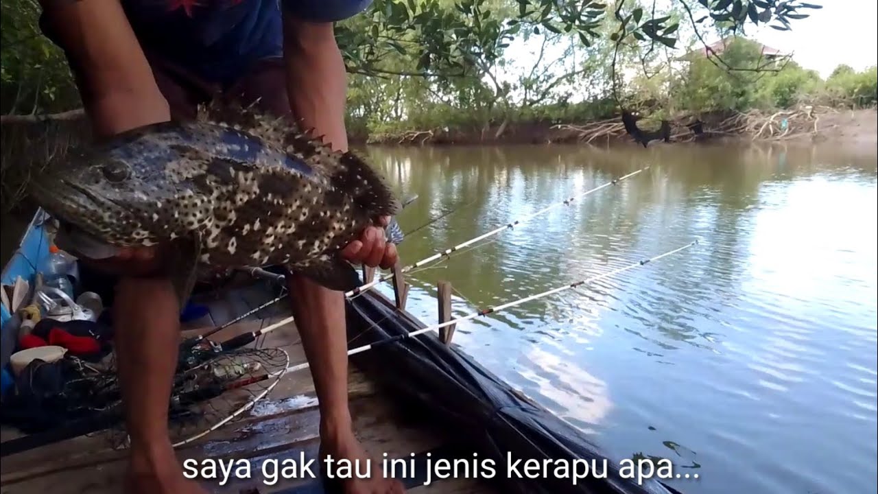 Enaknya cari ikan kalau ketemu spot seperti ini #mancing - YouTube