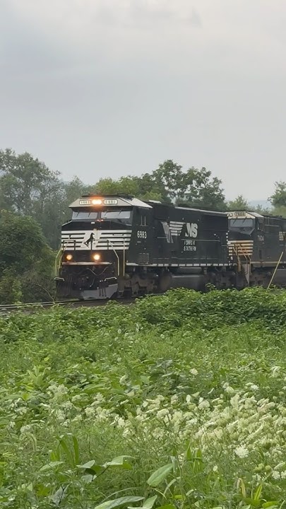 NS 6983 leading the northbound intermodal - YouTube