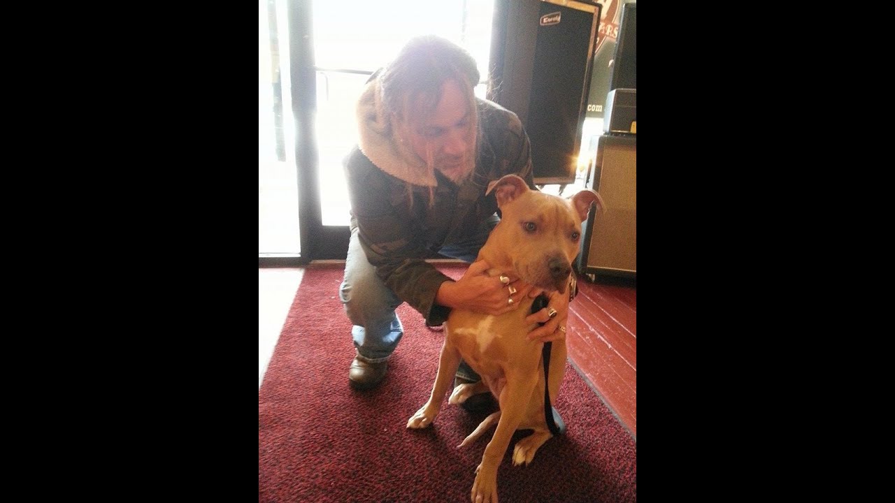 Tony Touris (improv version) Incident On 57th St Springsteen - YouTube