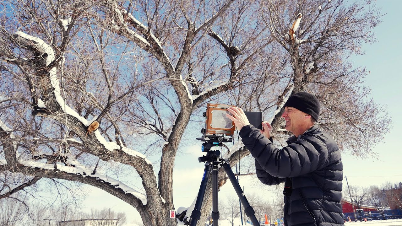 Large Format tree portrait, before they cut it down. - YouTube