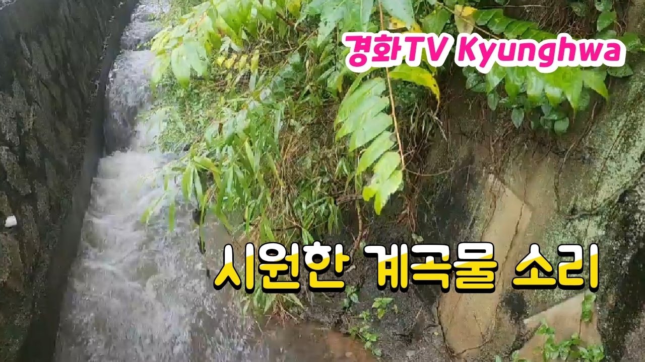 시원한 계곡물 소리와 힐링 Youtube