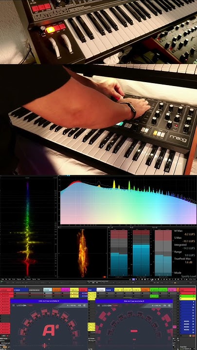 Exploring the Moog Muse's Mind-Blowing Onboard Effects! - YouTube