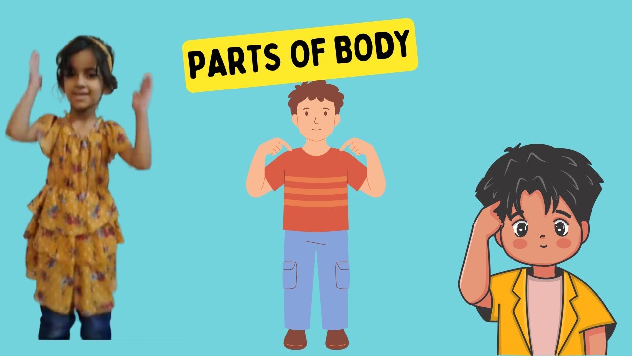 Parts of Body- Explained in very nice way - YouTube