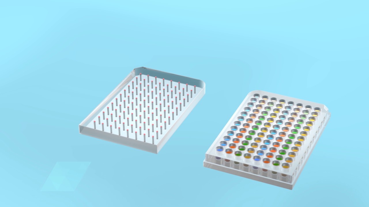 Cellvitro & ASFA Spotter for 3D Cell Culture by MBD, 엠비디(주) - YouTube