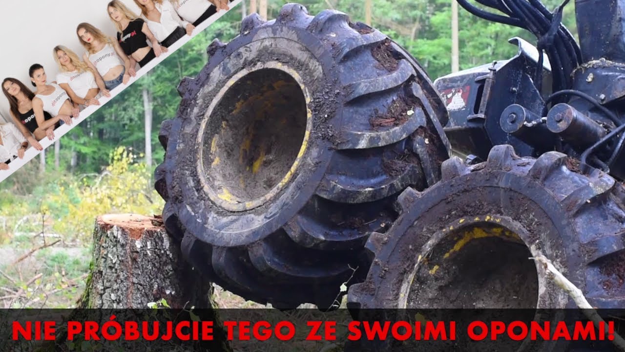 Zrąb dłużycy + zapowiedź sesji z modelkami, czyli nowe opony leśne ...