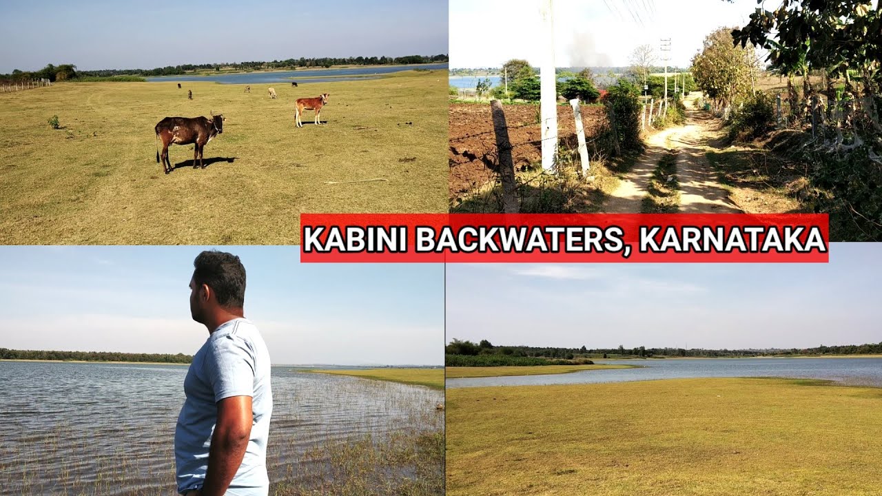 പ്രകൃതിഭംഗി കൊണ്ട് അനുഗ്രഹീതമായ കബിനി നദിയിലേക്ക് // KABINI BACKWATERS ...