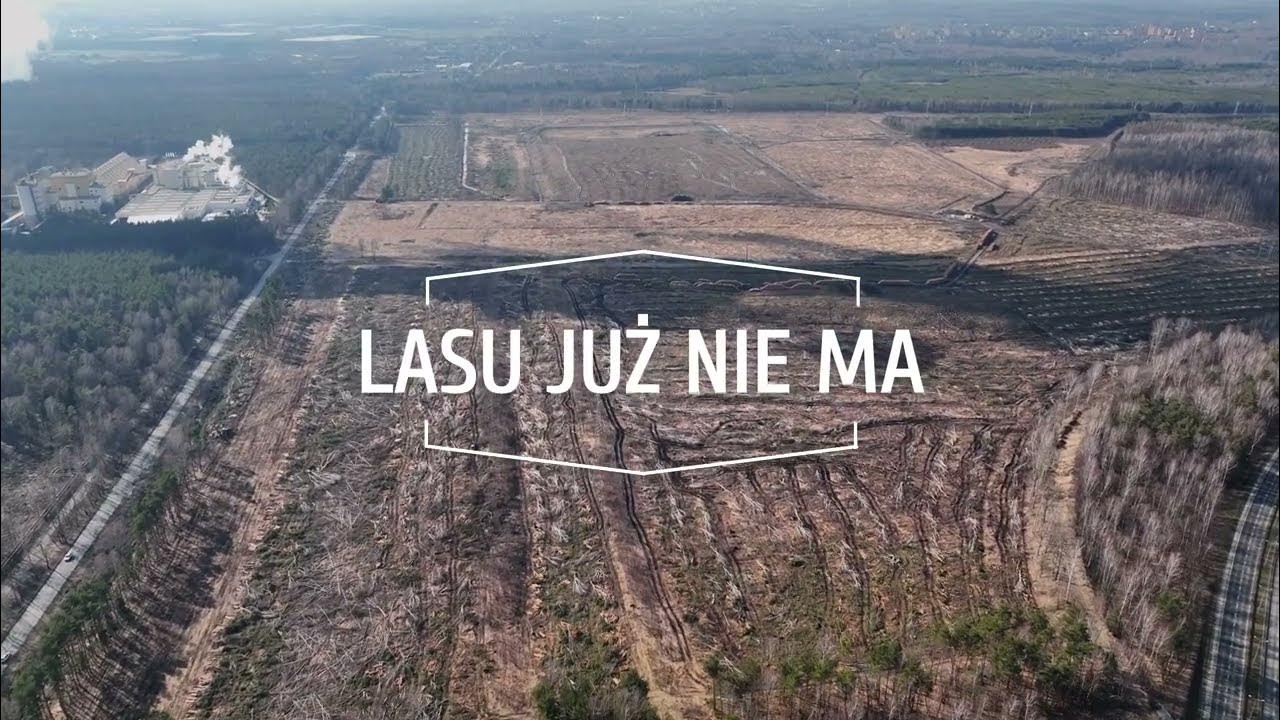 Las Pod Izerę Wycięty Jaworznicki Obszar Gospodarczy Youtube