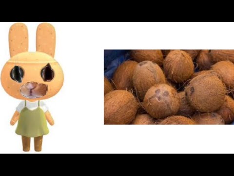 Real life coco villager Acnh ( animal crossing new horizons) - YouTube