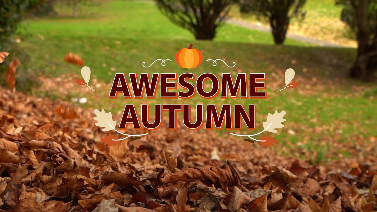 Awesome Autumn Song BSL | British Sign Language Songs | BSL Songs - YouTube