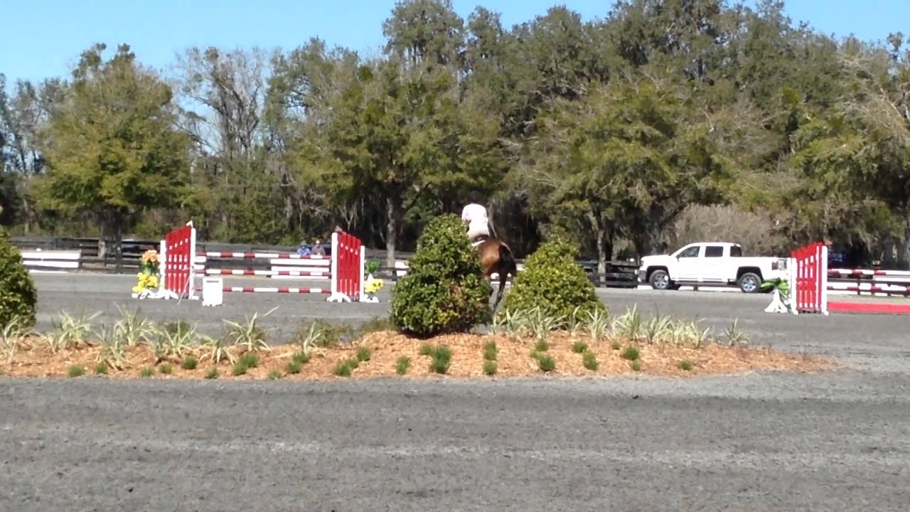 Lauren Paddock and Chacca Blue - YouTube