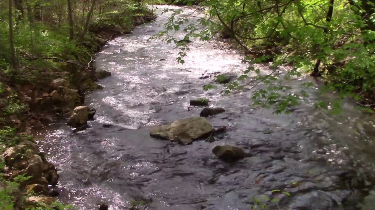 "Holding" by Michele Zehr - YouTube