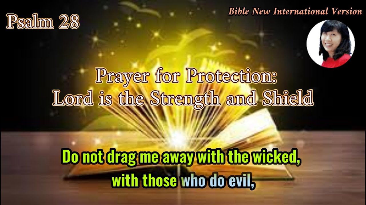 Psalm 28: Prayer for Protection-- Lord is the Strength and Shield of My ...