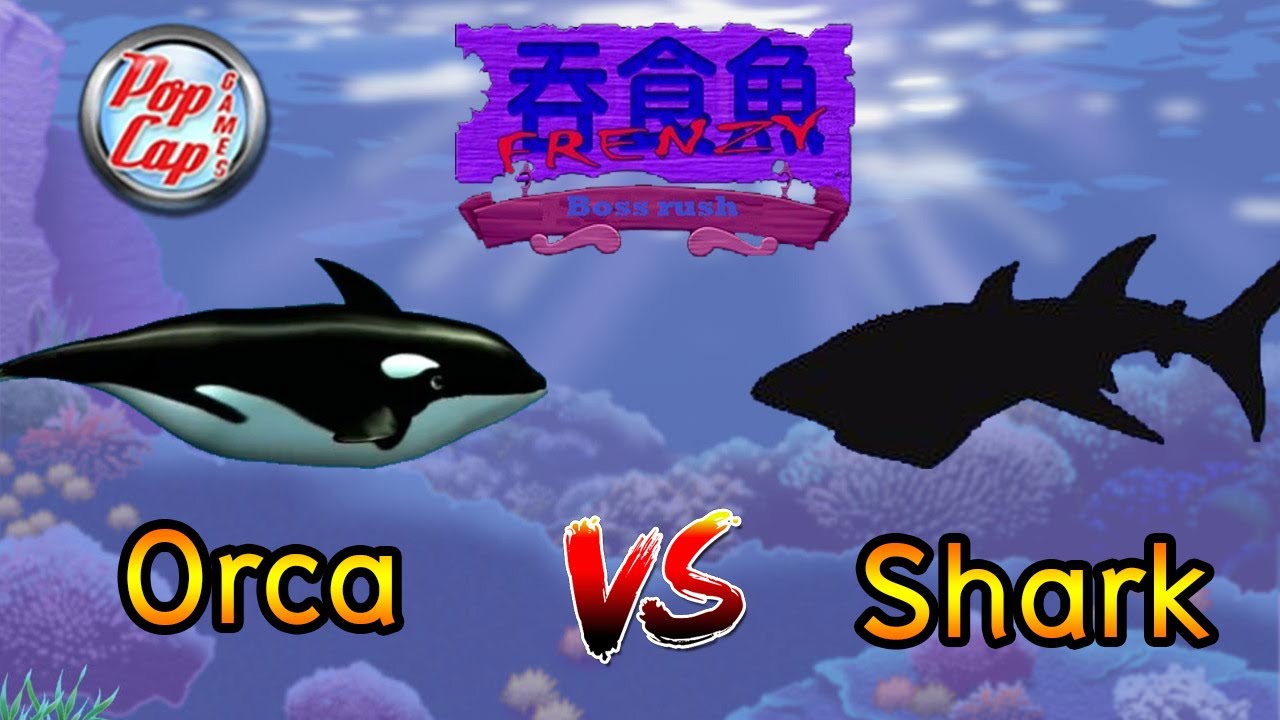 Feeding Frenzy 2 Mod Boss Rush Orca VS Shark (Down to Fish-Ness High Quality) - YouTube