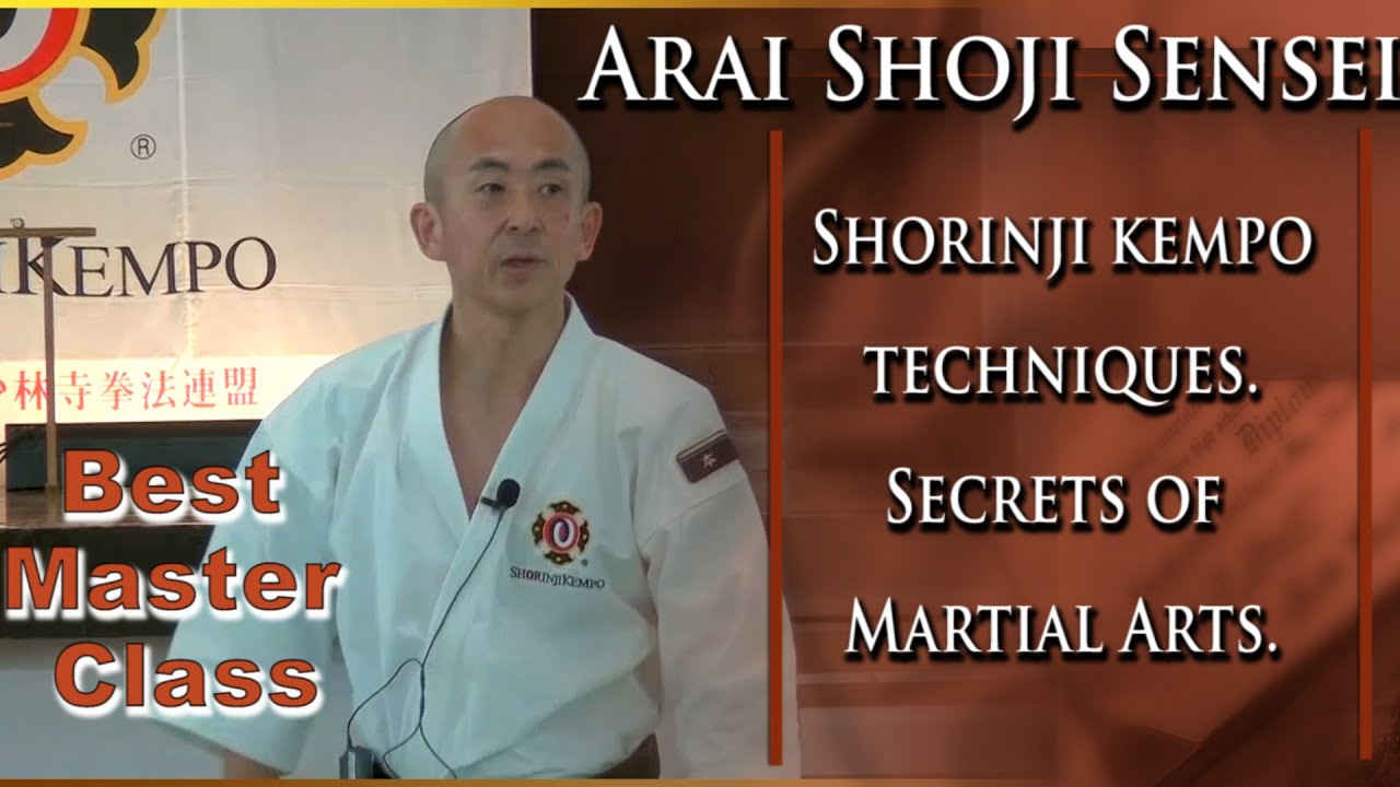 Shorinji Kempo techniques. Secrets of Martial Arts. Master Class ...