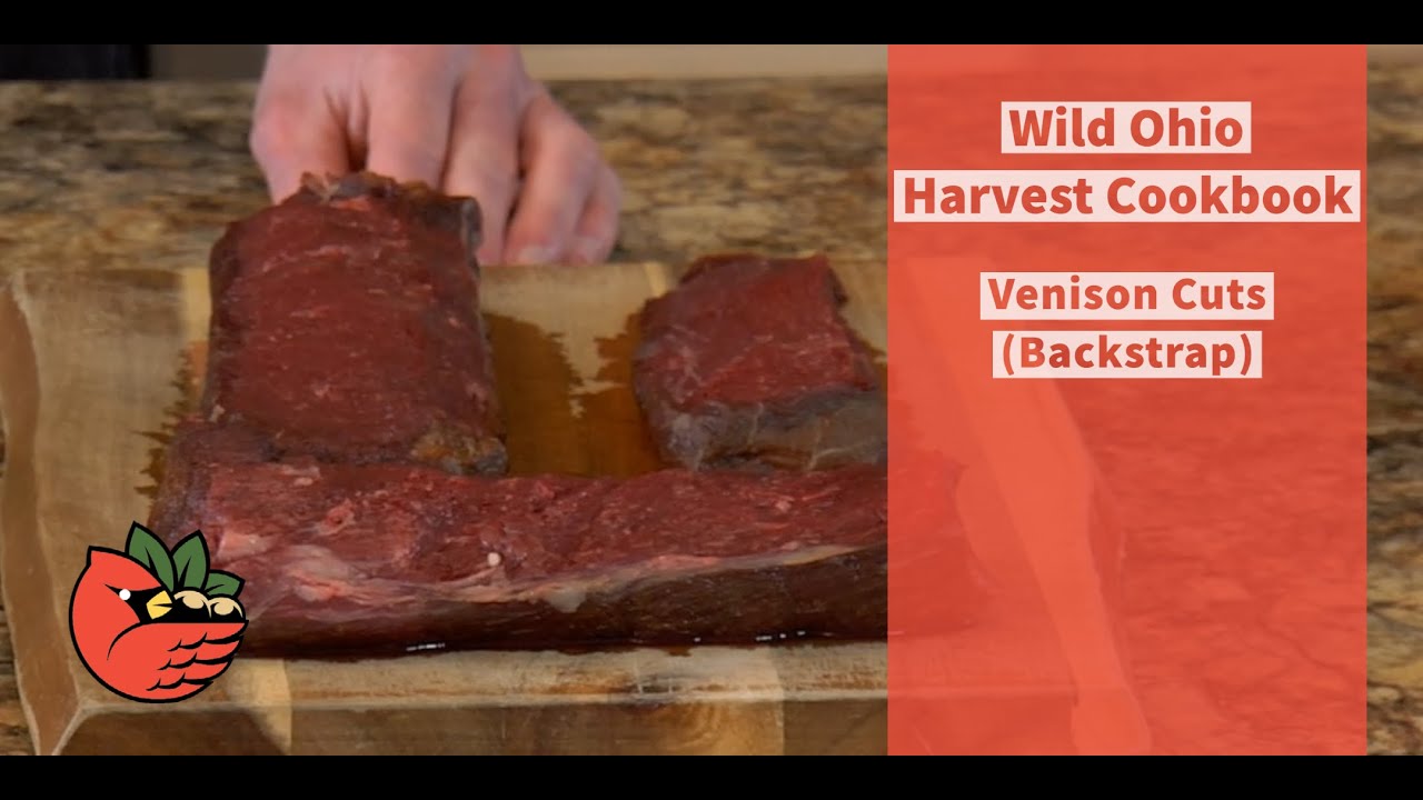 Venison Cuts