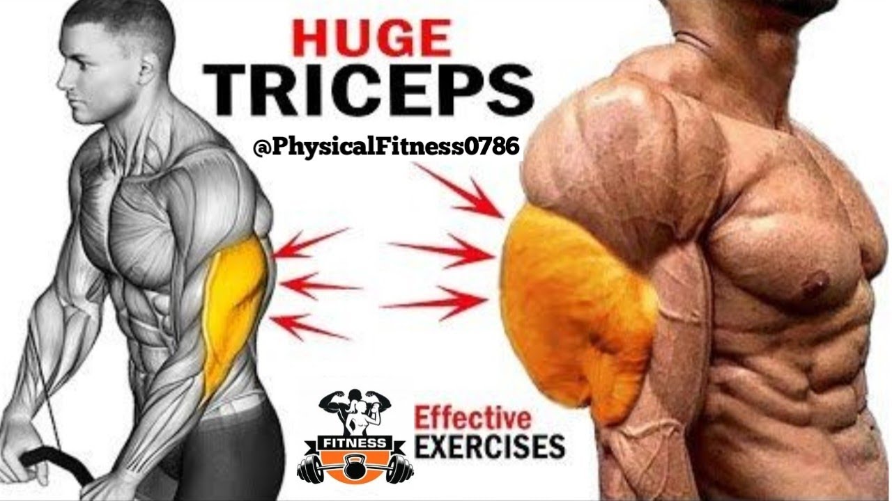 Triceps Workout At Gym | Best Exercise Triceps For Gym | How To The ...