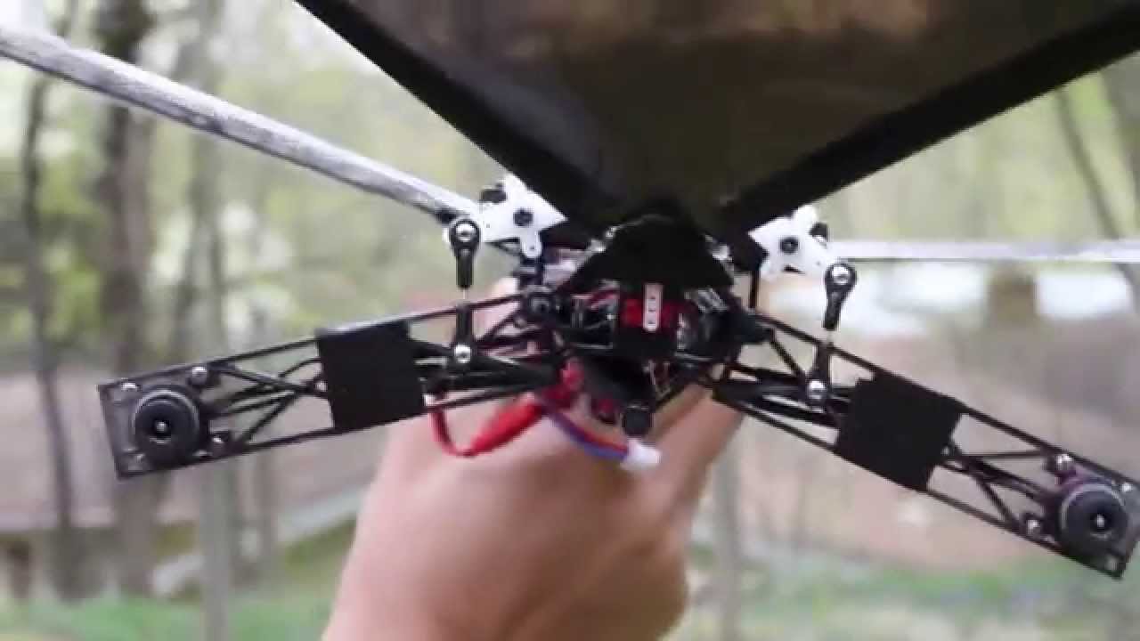 Robo Raven V: Mixed Breed - YouTube