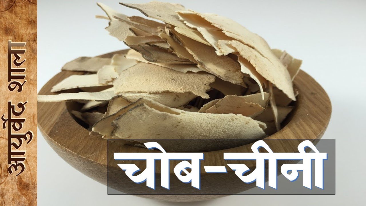 Chobchini kay fayday or upyog | China root | Ayurved shala - YouTube