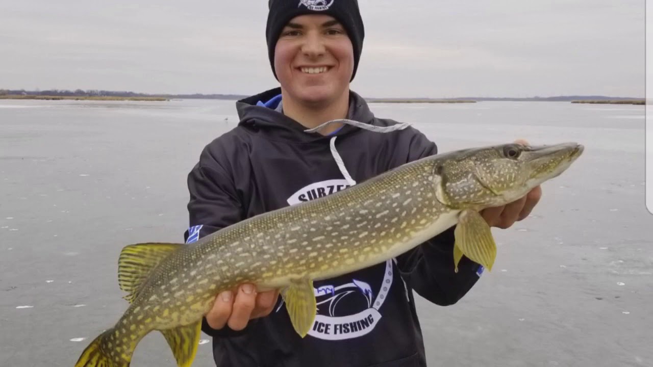 Nonstop Northern Pike Action - YouTube