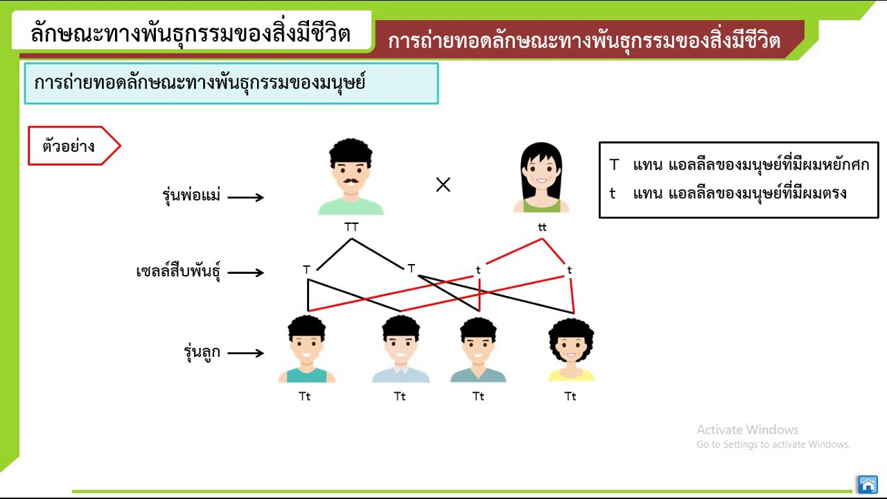 การถ่ายทอดลักษณะทางพันธุกรรมป 5 ข้อมูลพันธุกรรม ป 5ที่ละเอียดที่สุด