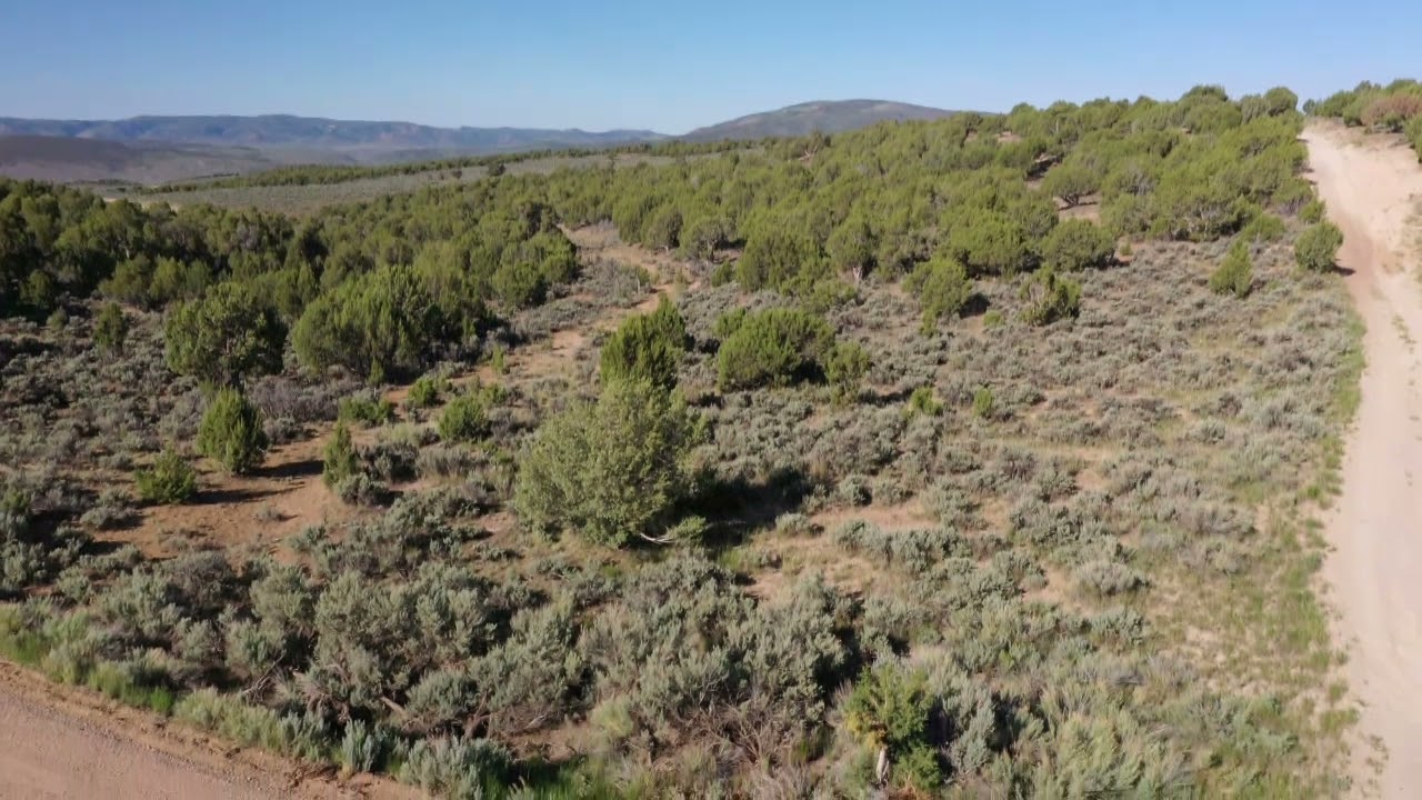 Colorado GMU Unit 40 Hunting Information - YouTube