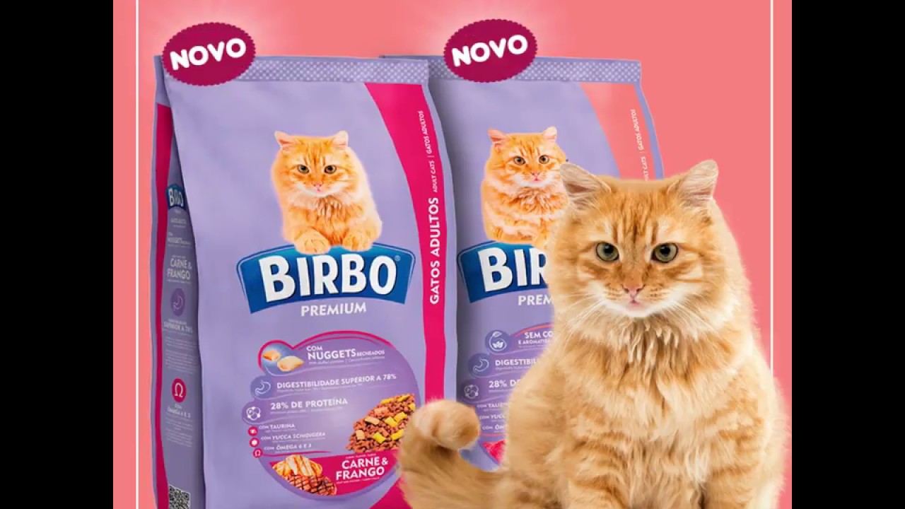 Novos Sabores de Birbo Gatos - YouTube