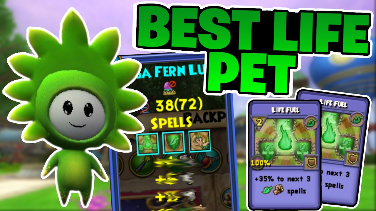 Making The Most Insane Life PVP Pet in Wizard101 - YouTube