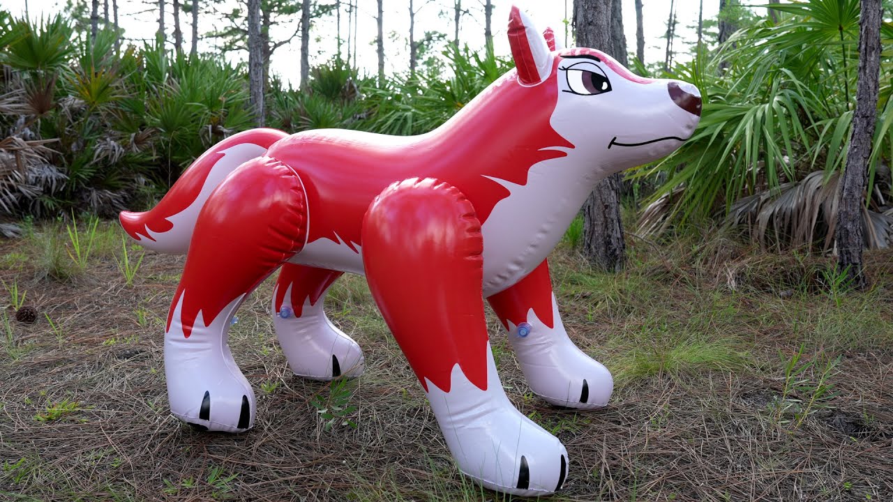 Roxi the Inflatable Toy Dog from WetNose Squeak - YouTube