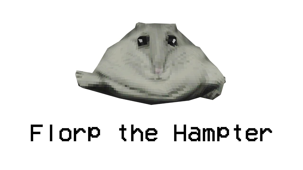 Florp the Hampter |YsAwZulbsg4 - YouTube
