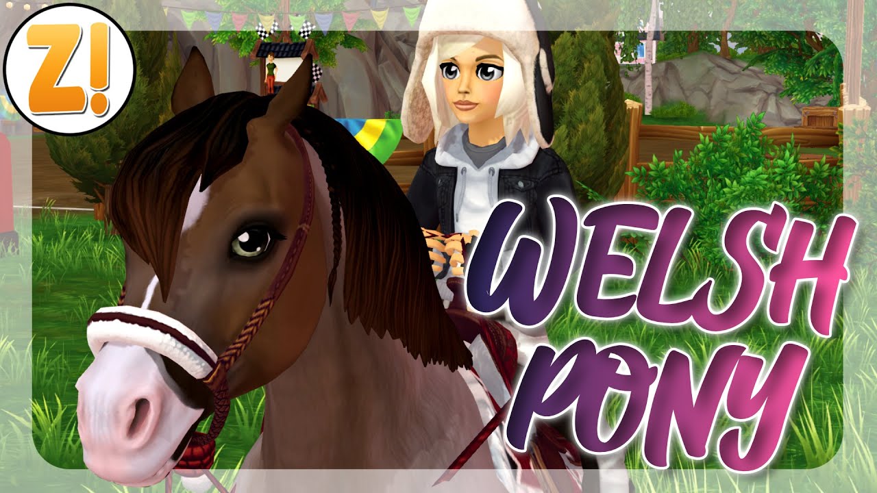 WELSH PONY LEVELN! 🐴 Server 8 | Star Stable [SSO] - YouTube