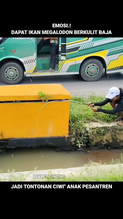 mancing di gorong gorong pinggir jalan raya purwonegoro - YouTube