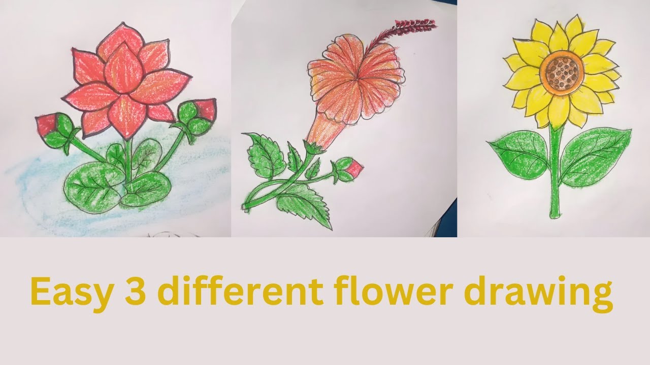 Easy 3 different flower drawing step by step - YouTube