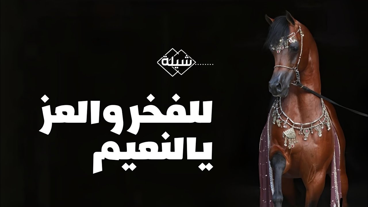 شيلة للفخر والعز يالنعيم جديده 2025 - YouTube