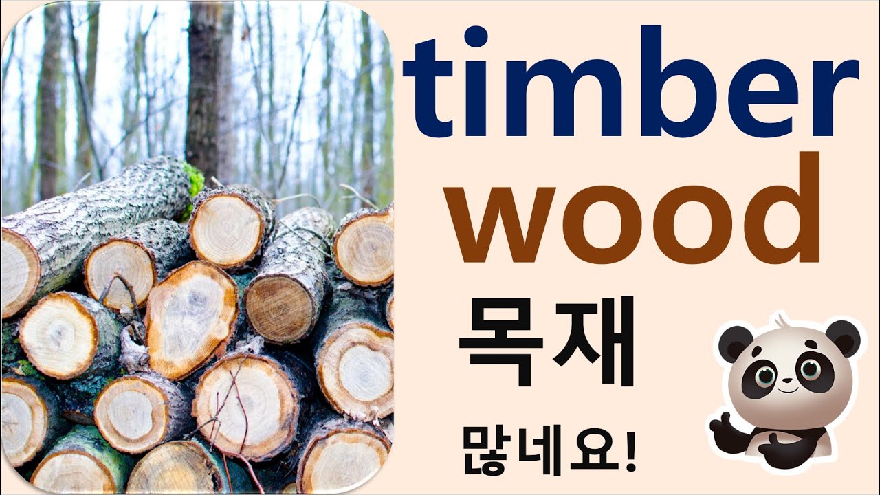 Q5 English 어휘 Lesson 439 (목재, 나무 – wood, timber, lumber) - YouTube