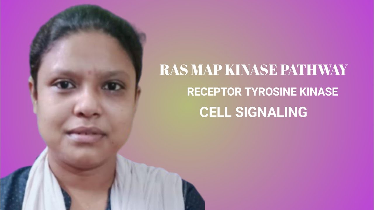 RAS MAP KINASE PATHWAY//RECEPTOR TYROSINE KINASE//CELL SIGNALING - YouTube